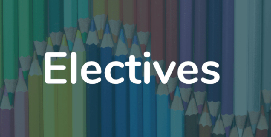 Learning Beyond the Classroom: Spotlight on Electives - St. Bernards